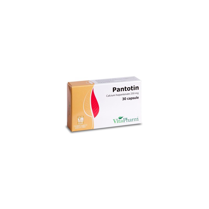 Pantotin caps 250 mg N30 - Medicamente